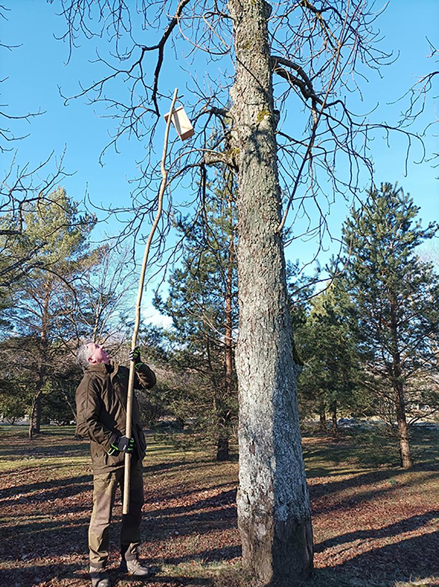 Miškininkai pataria, kaip tinkamai paruošti inkilus sparnuočiams ...